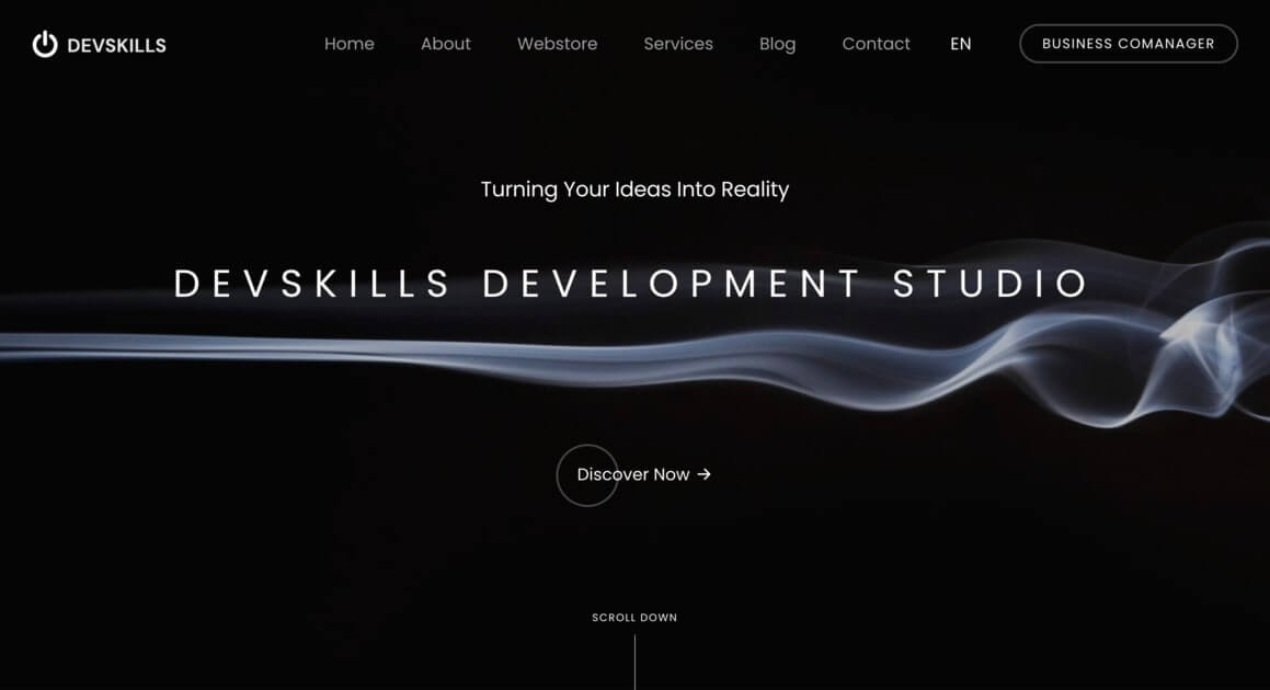 DevSkills - Professional Software Development Services